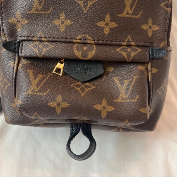 Louis Vuitton | Bags | Louis Vuitton Palm Spring Mini | Poshmark